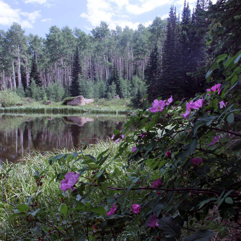 Settlement reached in Thompson Divide lawsuit – The Sopris Sun