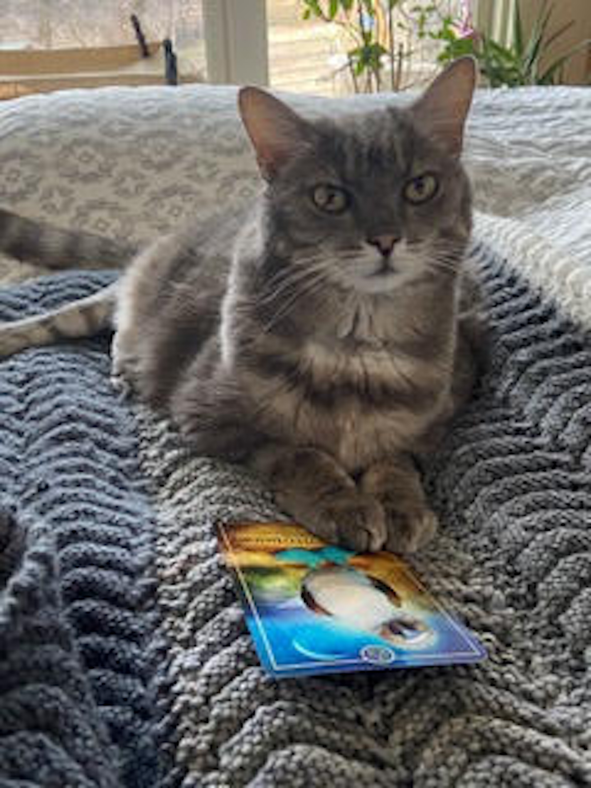 works in progress - All Four poem – The Sopris Sun